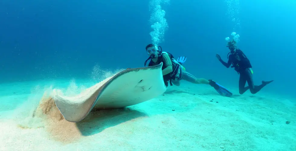 Partir à Saint Martin: que faire, que visiter ? | Air Vacances