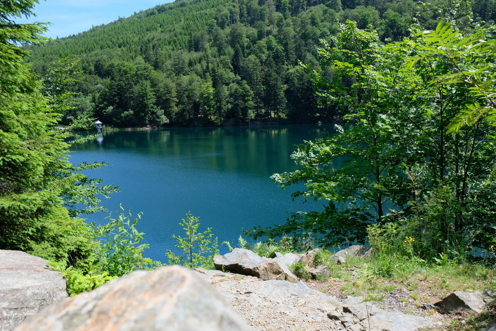 Que faire en Alsace ? Les meilleurs endroits à visiter | Air Vacances