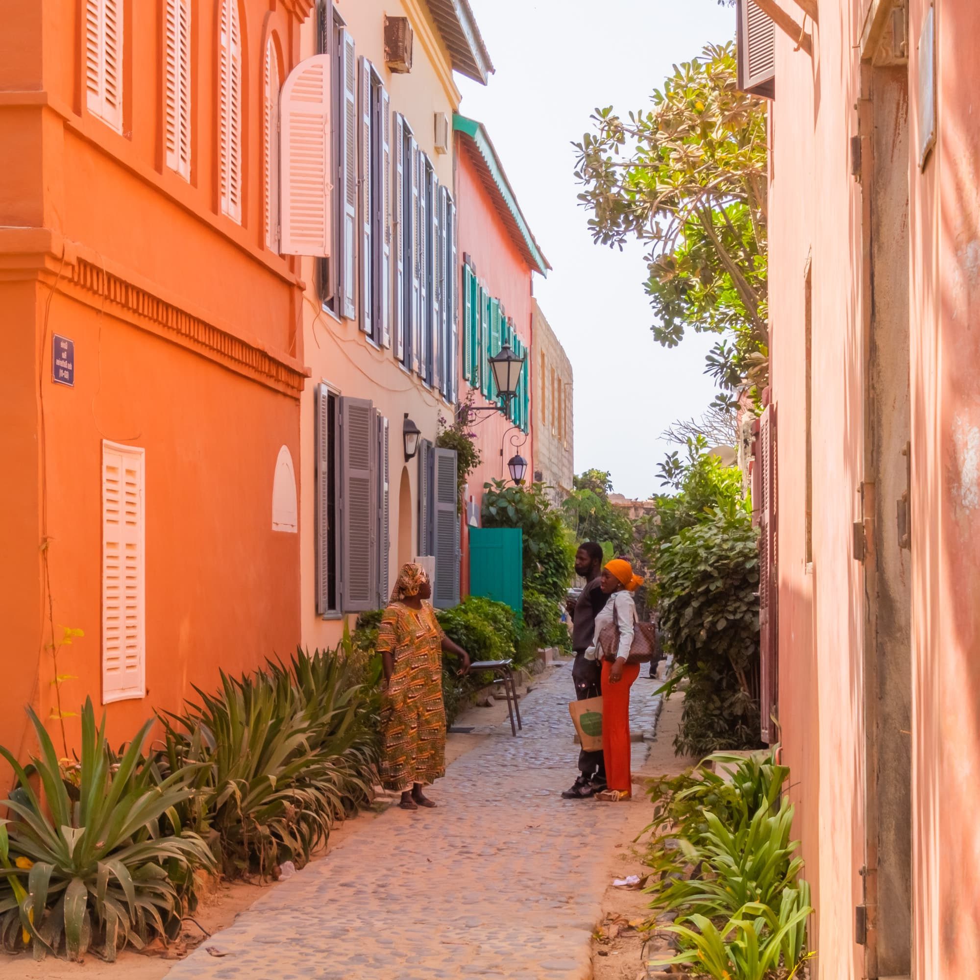 Que faire au Sénégal ? Top 10 des Lieux Incontournables à Visiter