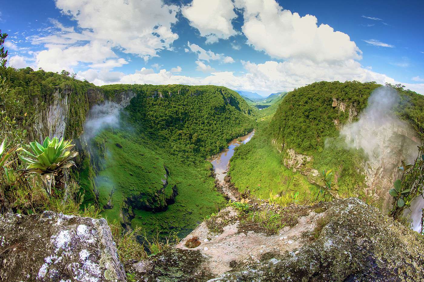 Découverte de l'Amazonie en Guyane : Guide complet pour un voyage au ...