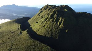 Randonnée Montagne Pelée 2026 : Sentiers, Météo et Guide