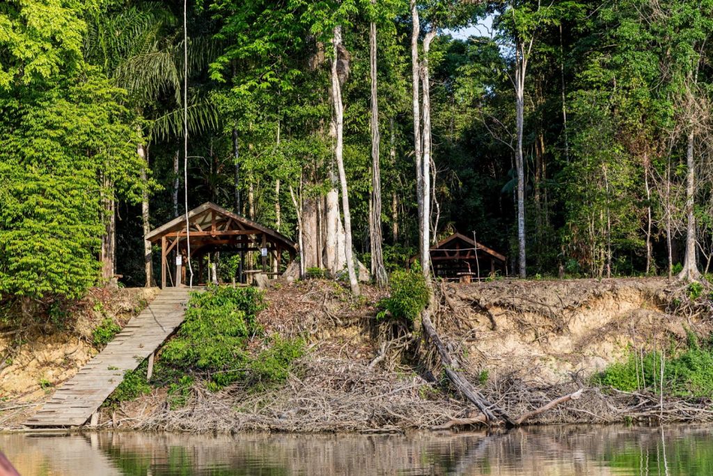 Parc Amazonien de Guyane : accès, zones et que voir